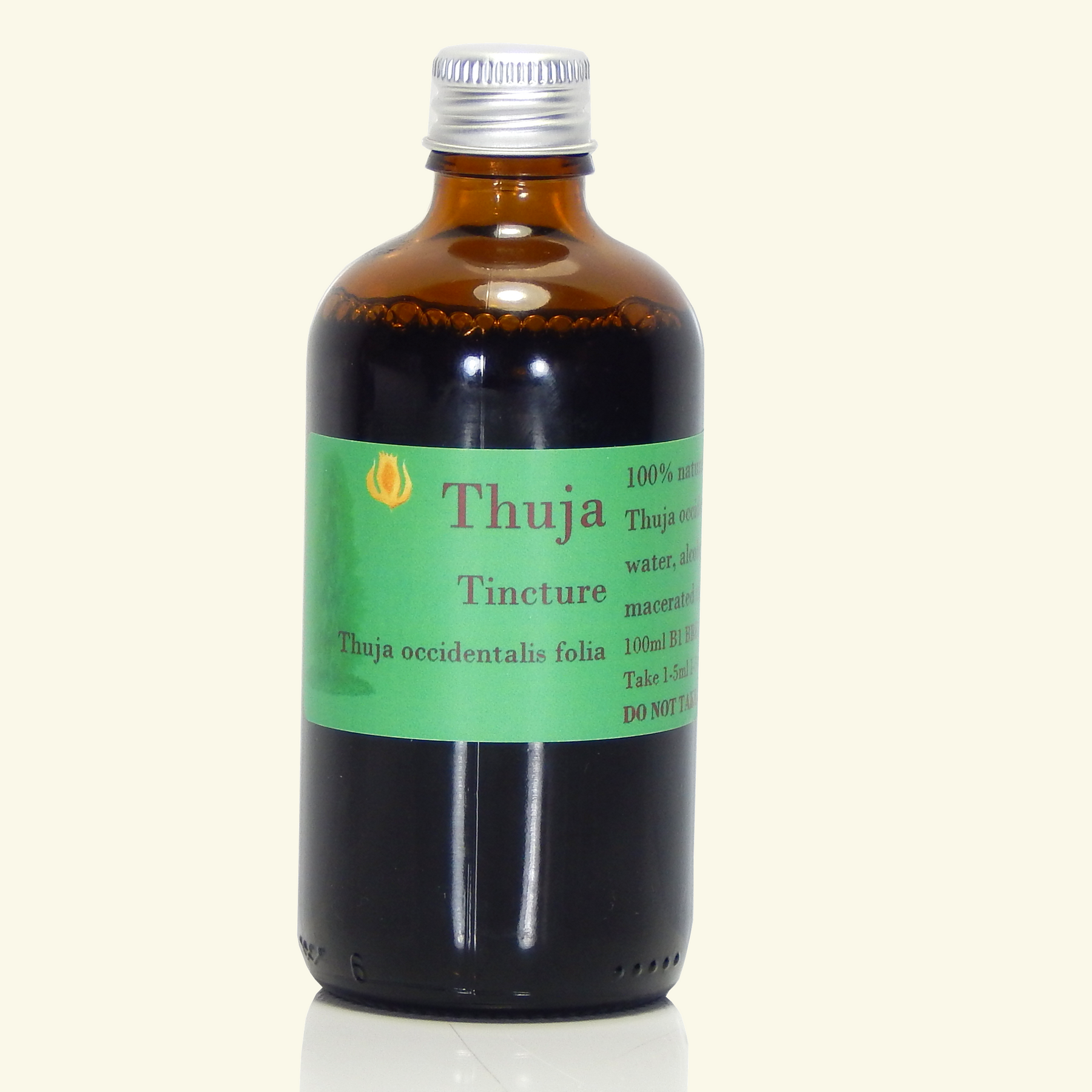 Thuja Tincture – NorthernHerbs
